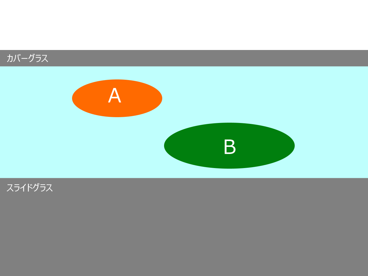 高倍率の顕微鏡でより良い像を観察する方法 | WRAYMER顕微鏡 テクニカルサポート